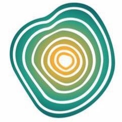 Forest Schools in Dublin | Irish Forest School Association